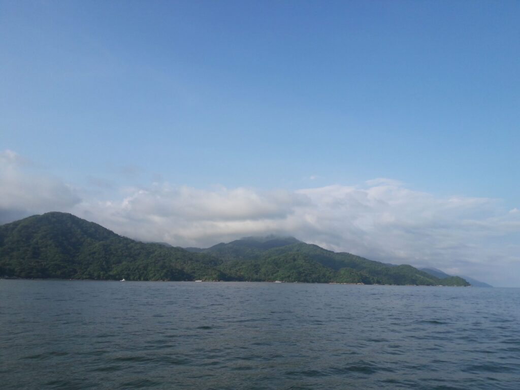 Descubre las maravillas de Puerto Vallarta - Vida de Viajes Descubre las maravillas de Puerto Vallarta - Vida de Viajes